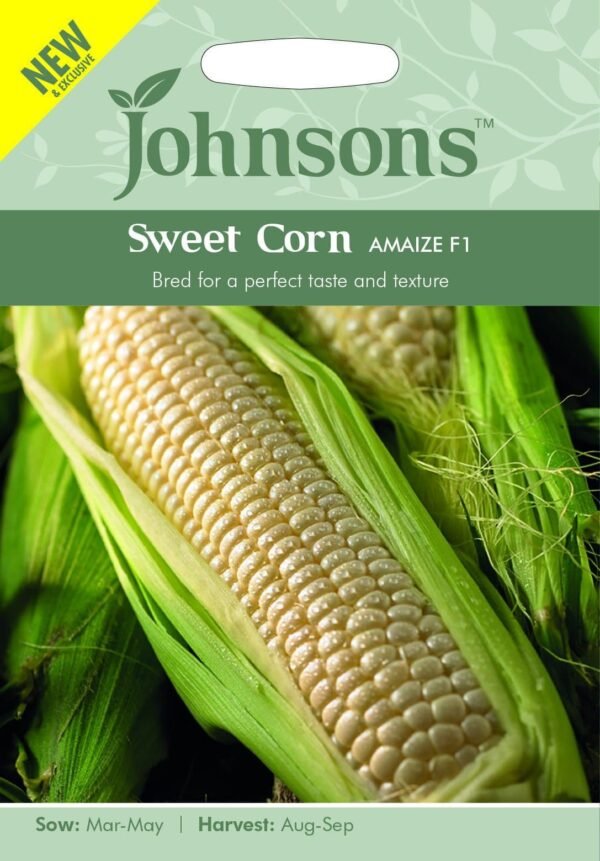 Johnsons Sweet Corn Amaize F1 20 Seeds – Seeds a Lot