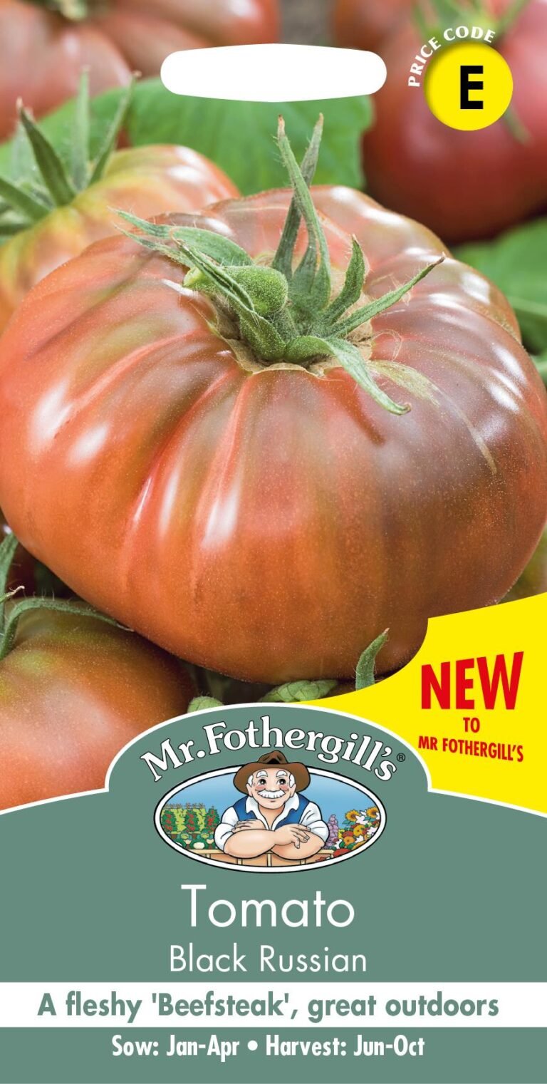 Mr Fothergills Tomato Black Russian 50 Seeds – Seeds a Lot